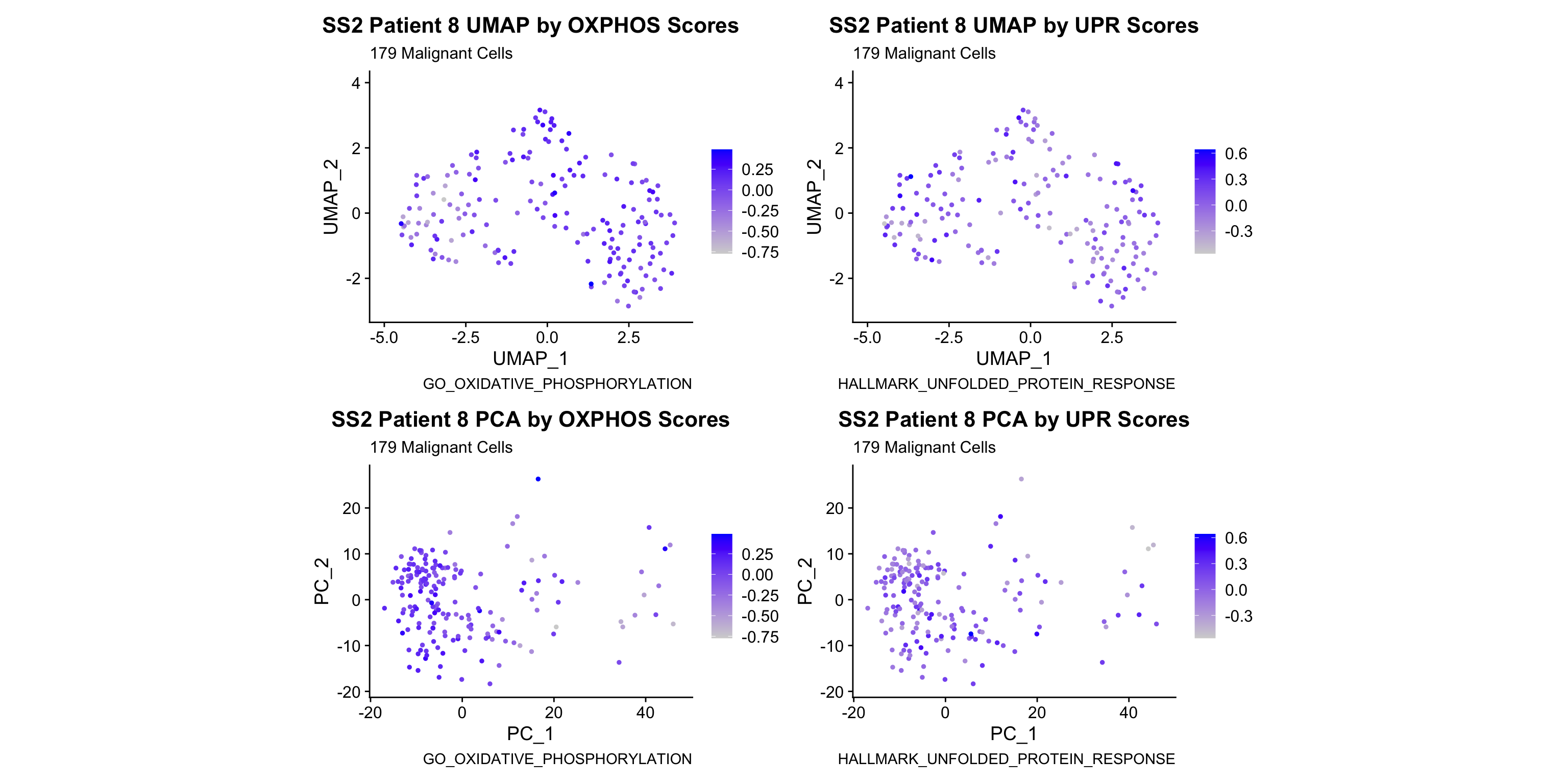Izar 2020 SS2 (Cohort 2) Exploatory Analysis