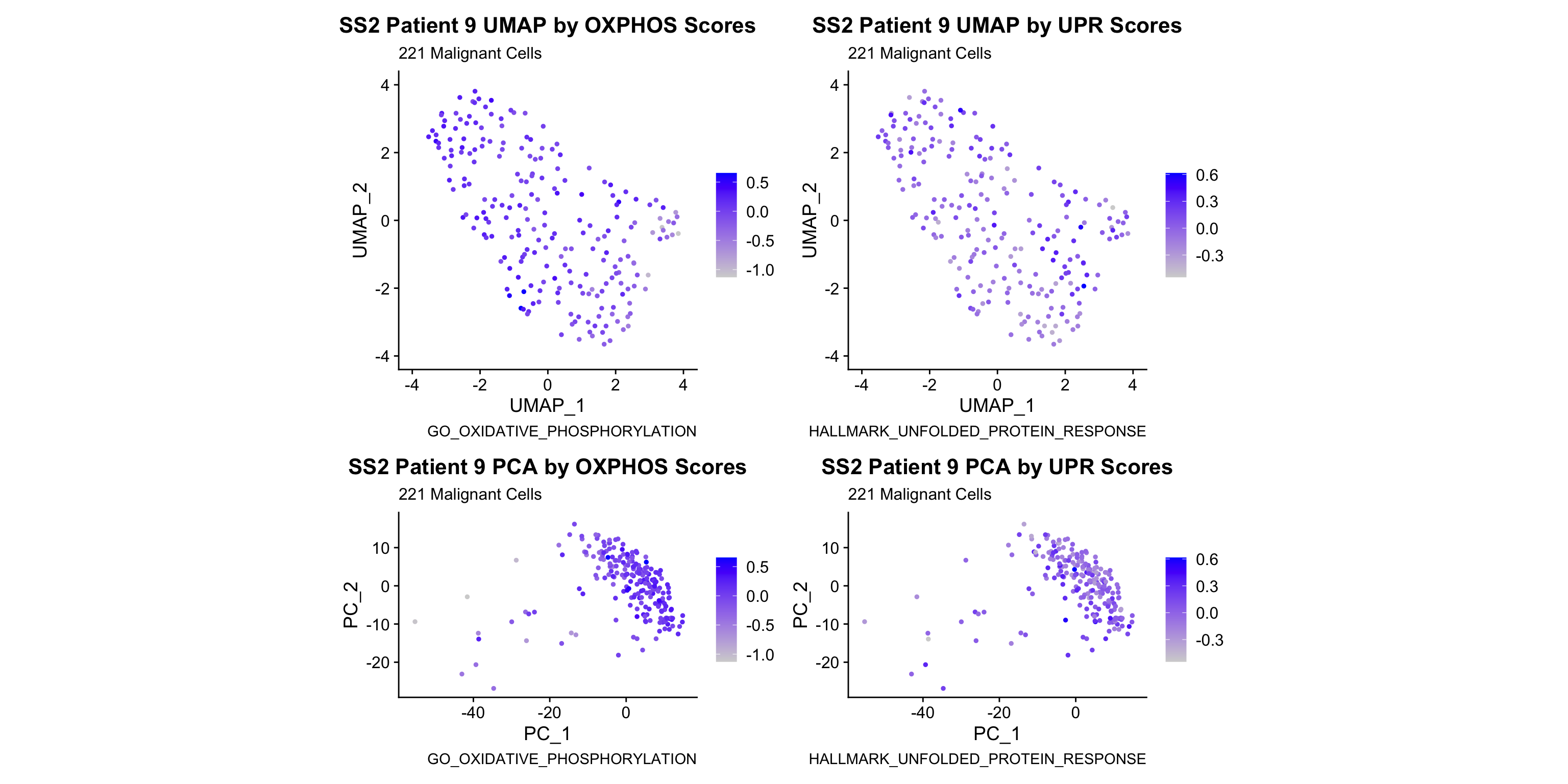 Izar 2020 SS2 (Cohort 2) Exploatory Analysis